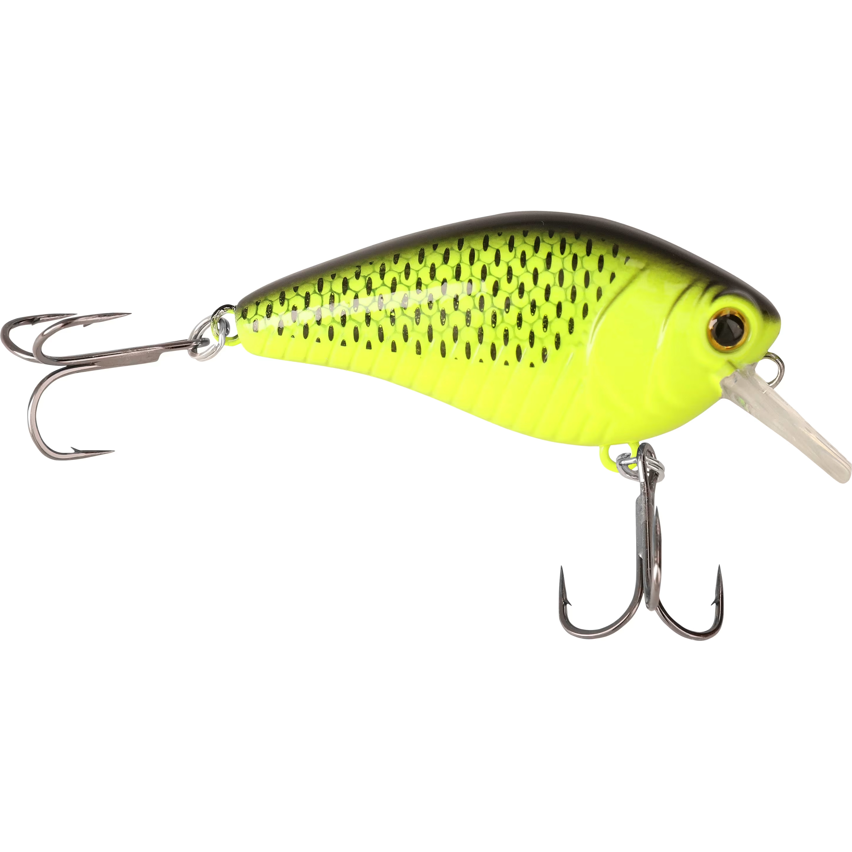 Bass Pro Shops® XPS Square-Bill Crankbait | Bass Pro Shops Canada